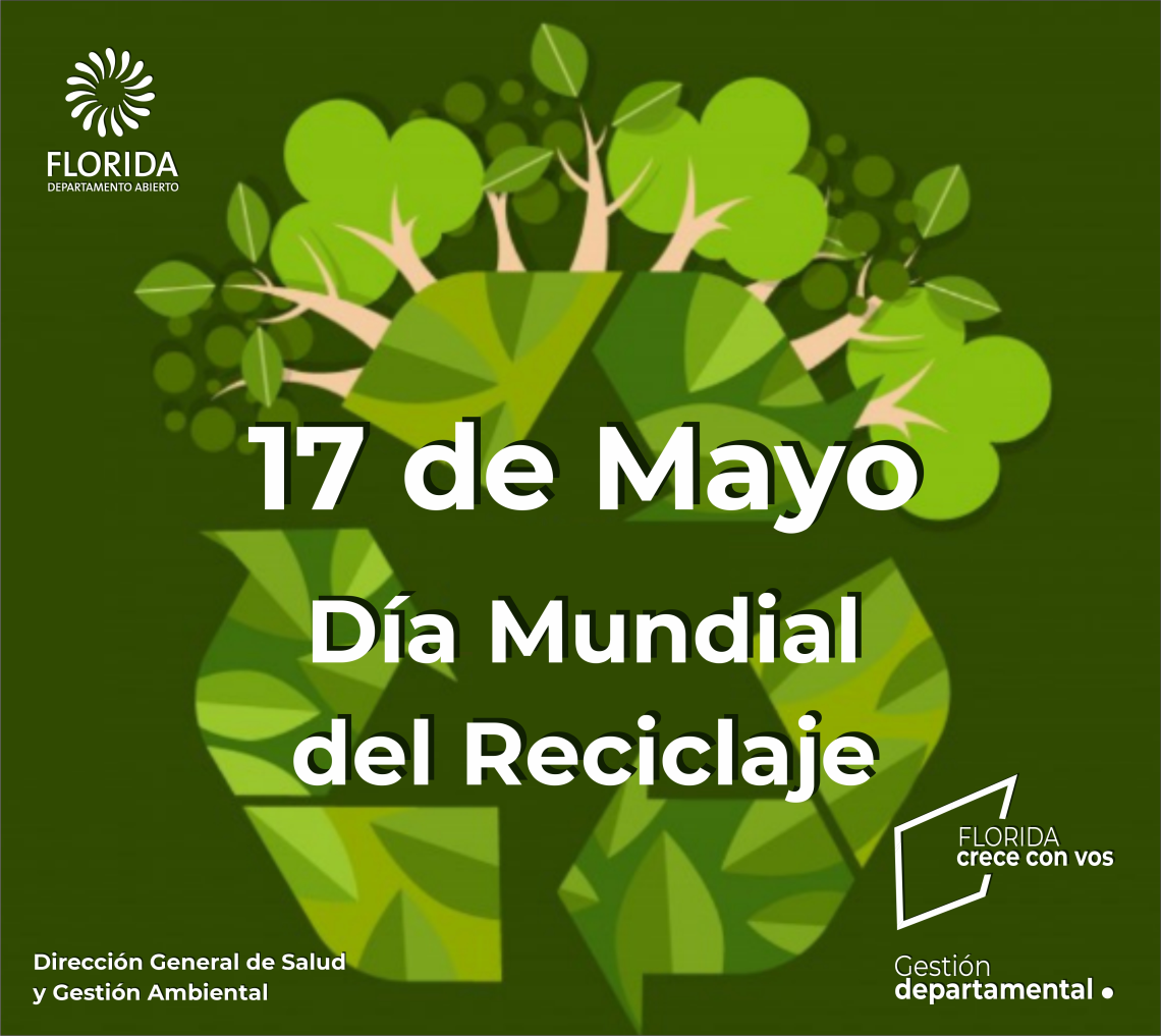 Día Mundial Del Reciclaje Idf
