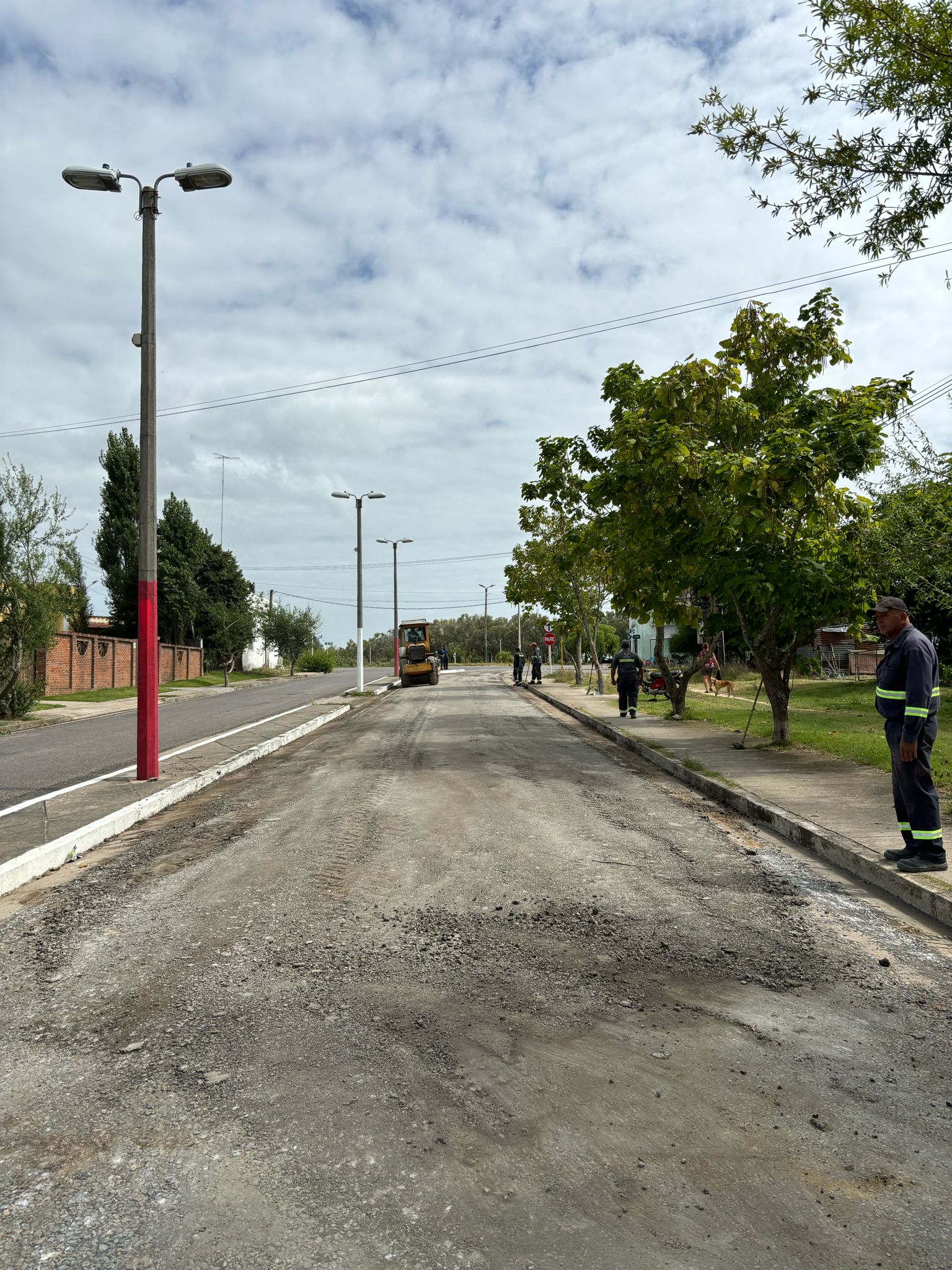 Preparacion suelos Avenida Florencio Sanchez | Intendencia de Florida