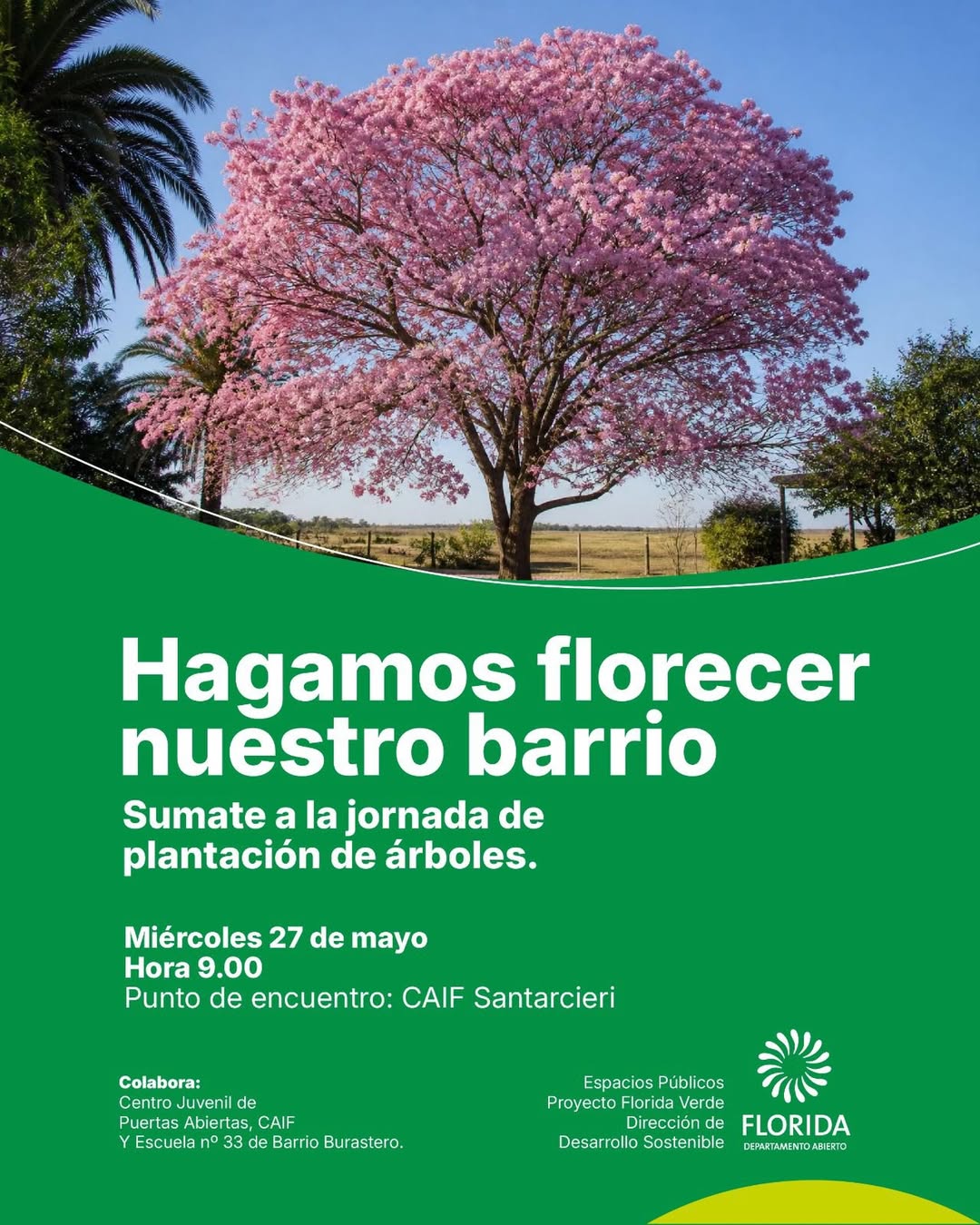 Invitan a participar de una jornada de plantación de árboles en Barrio ...