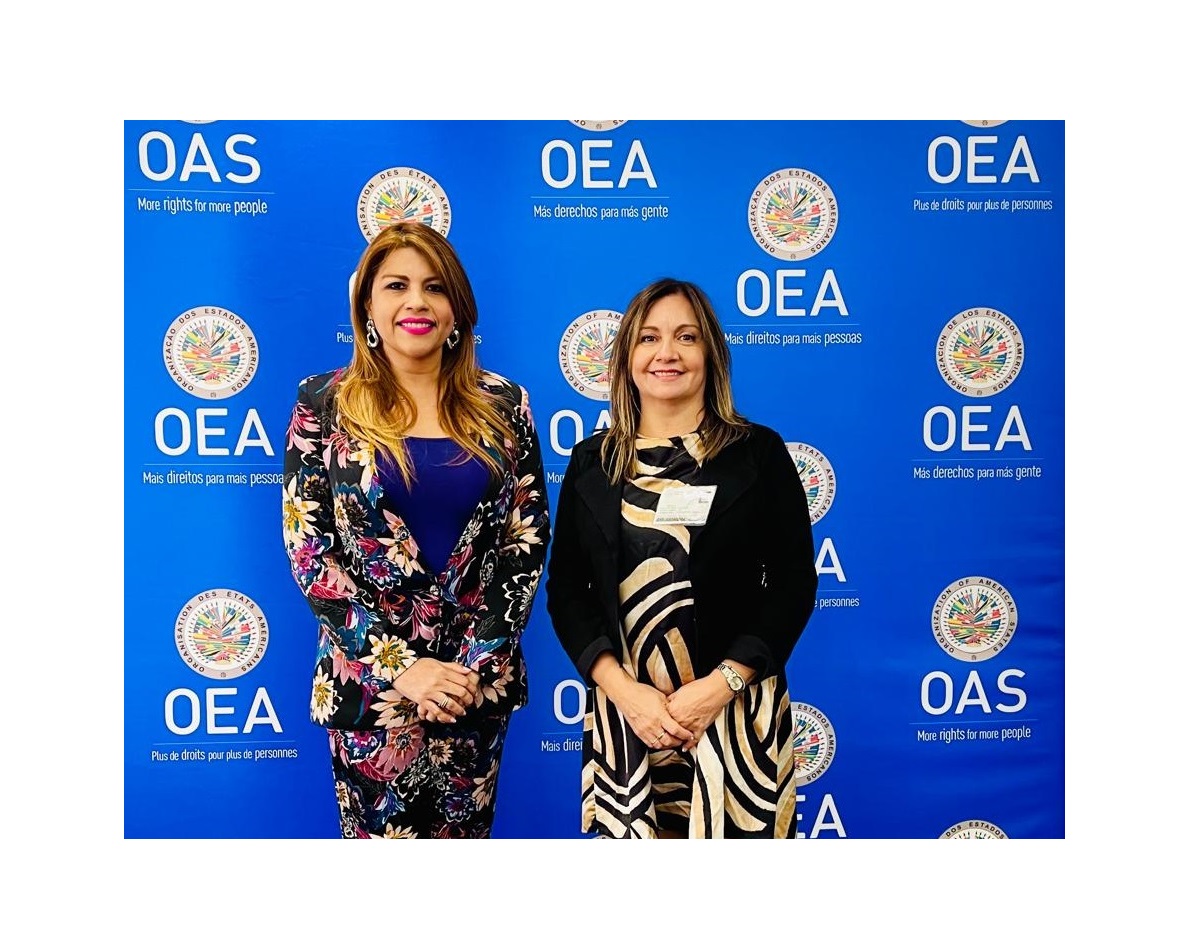 Participación en la 41° Reunión Plenaria del Comité de Expertos y ...