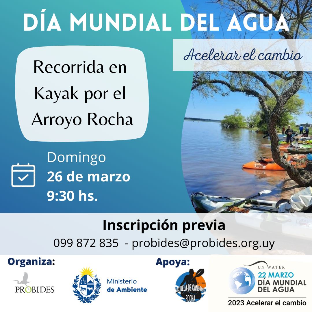Recorrida en kayak por el arroyo Rocha | MA