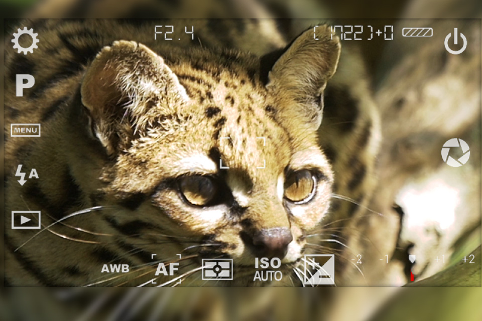 Lo que tenes que conocer sobre nuestras especies y la caza en Uruguay | MA