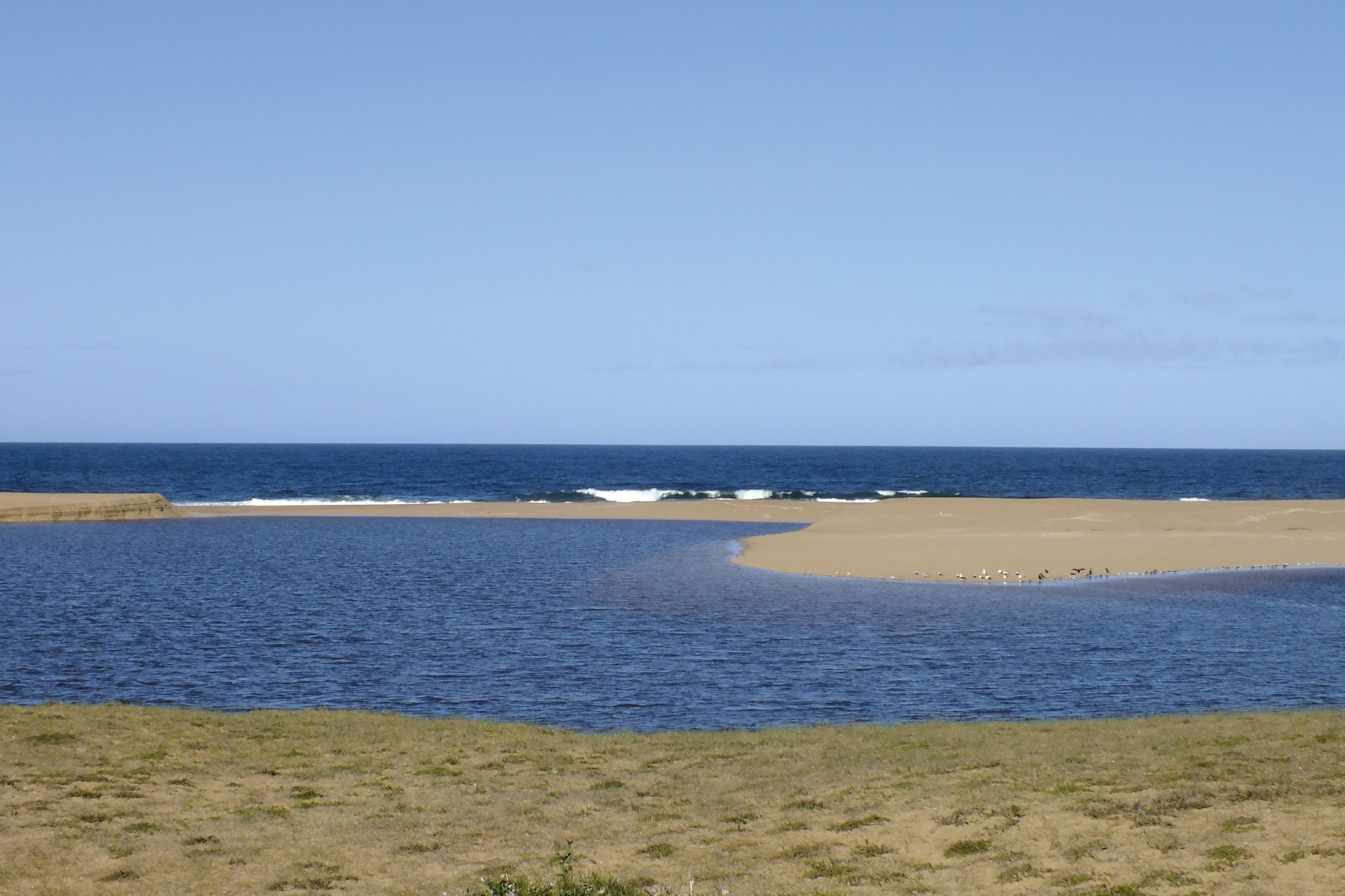 Programa de Monitoreo Interinstitucional: Laguna Garzón | MA