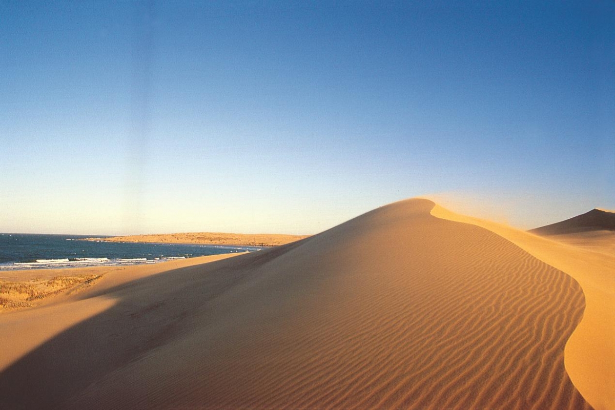 Dunas | Ministerio de Ambiente