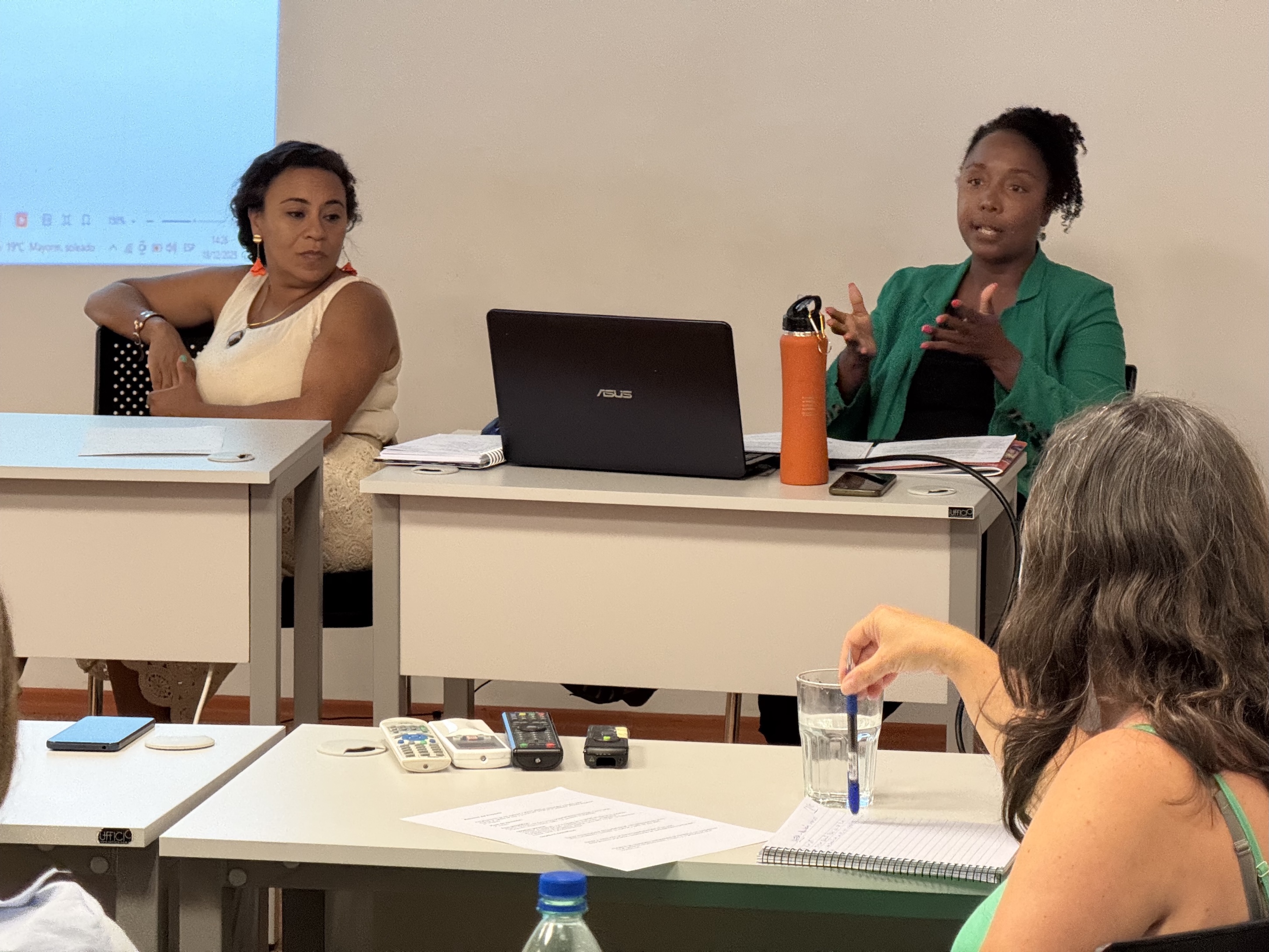 Realizamos una nueva sesión del Consejo Nacional de Equidad Racial y ...