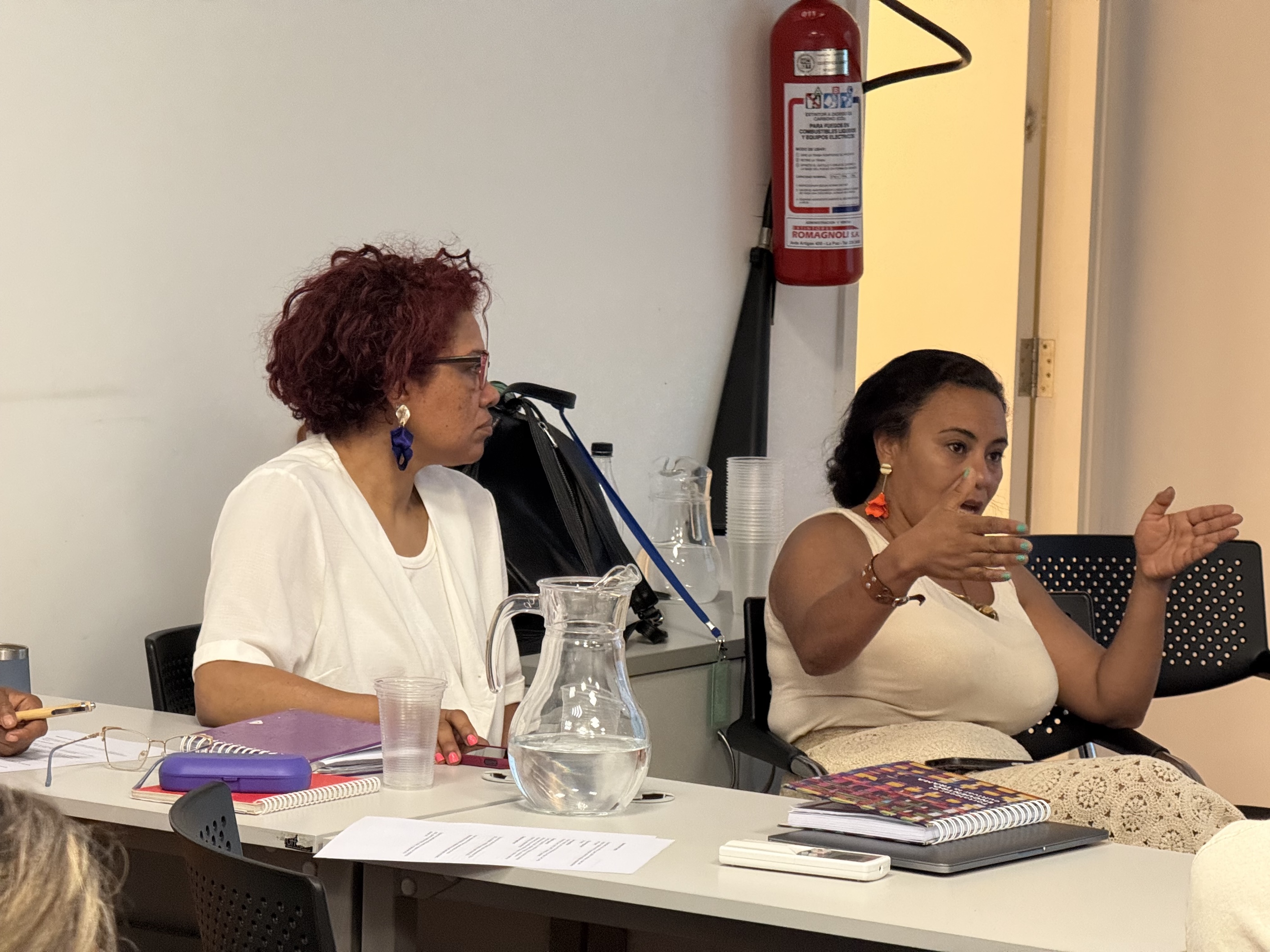 Realizamos una nueva sesión del Consejo Nacional de Equidad Racial y ...