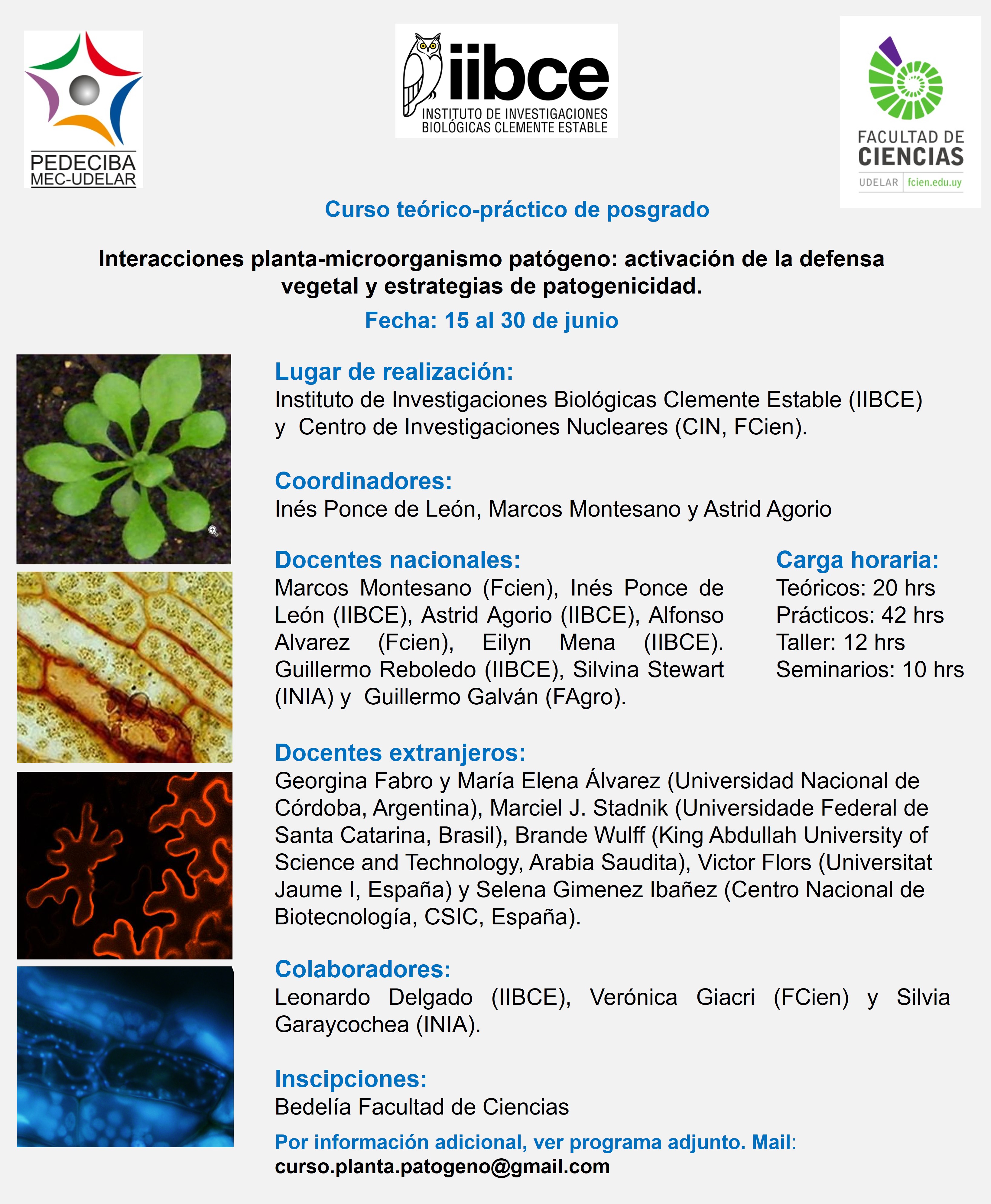 Curso "Interacciones planta-microorganismo patógeno: activación de la ...