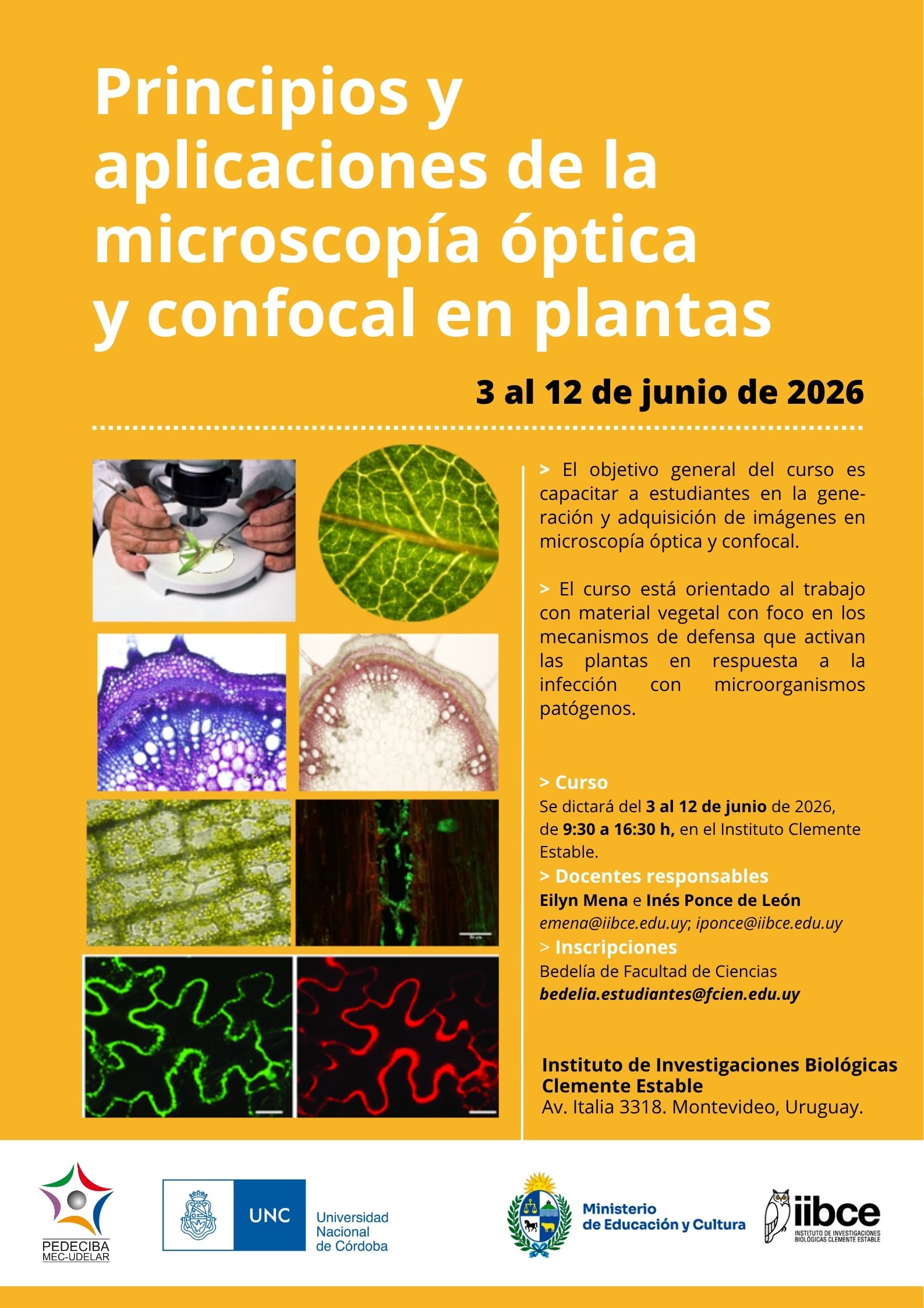 Principios y aplicaciones de la microscopía óptica y confocal en ...