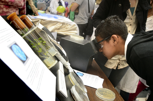 ¡A experimentar! | Ministerio de Educación y Cultura