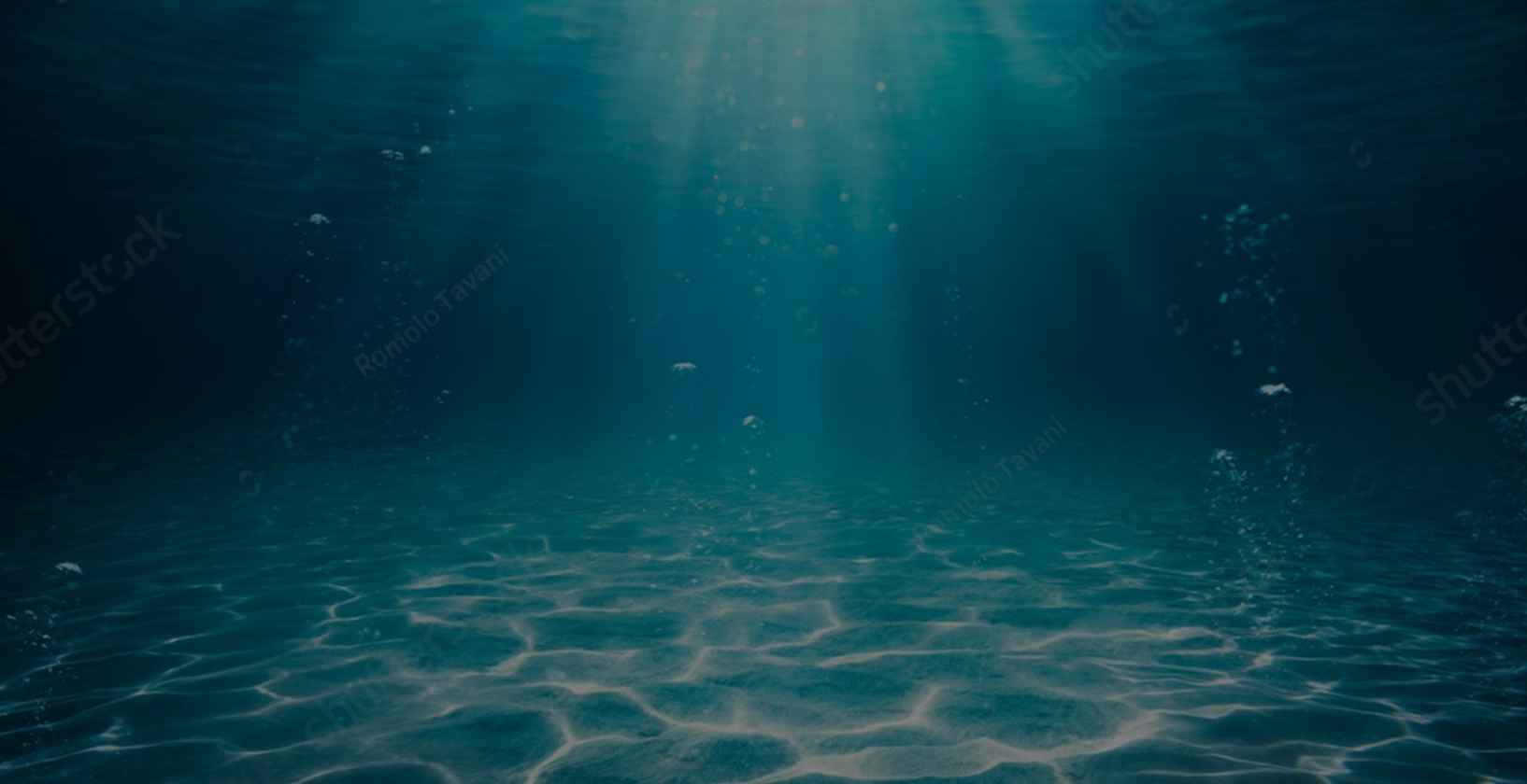 Bioeconomía azul: Recomendaciones para innovación y desarrollo del ...