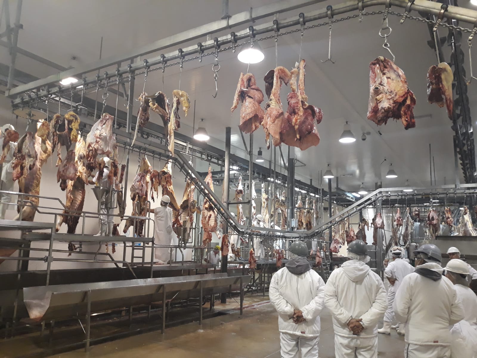 Autoridades visitaron planta del frigorífico BPU Meat en Durazno | MGAP