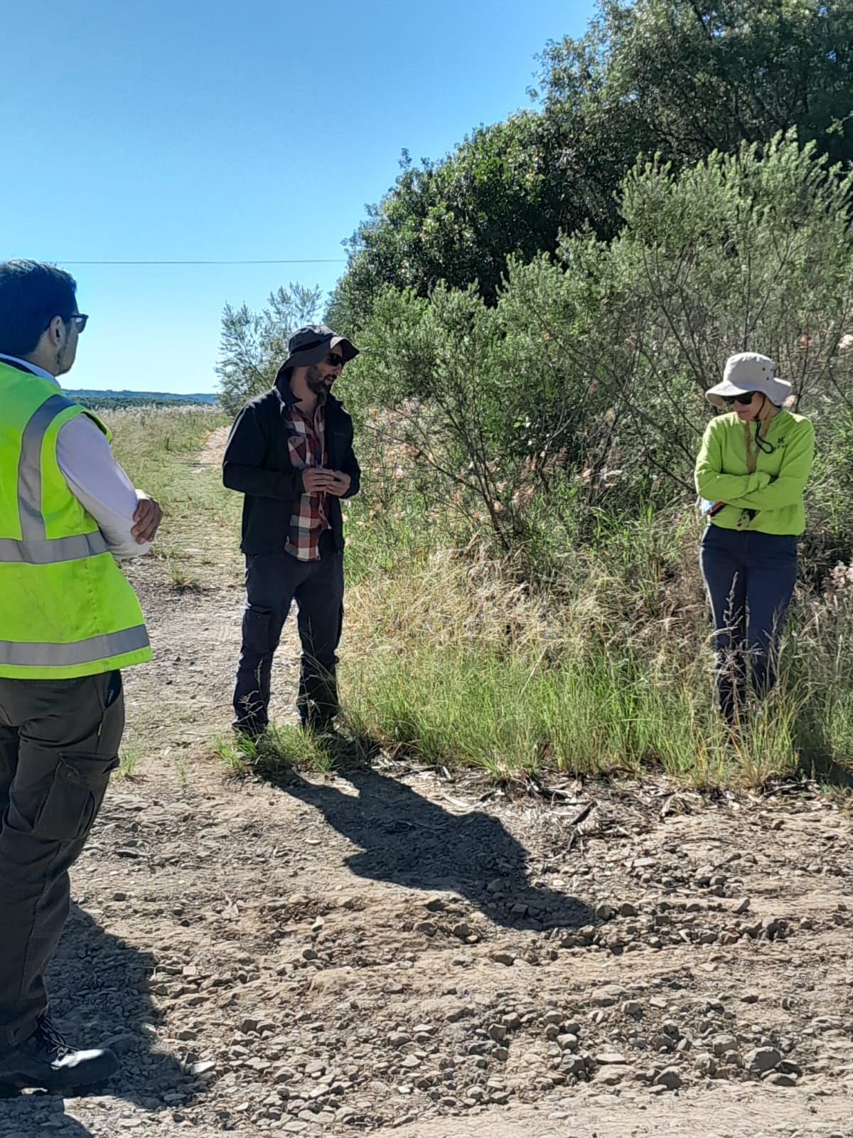 Capim Annoni: jornada para su control y reconocimiento | Ministerio de ...