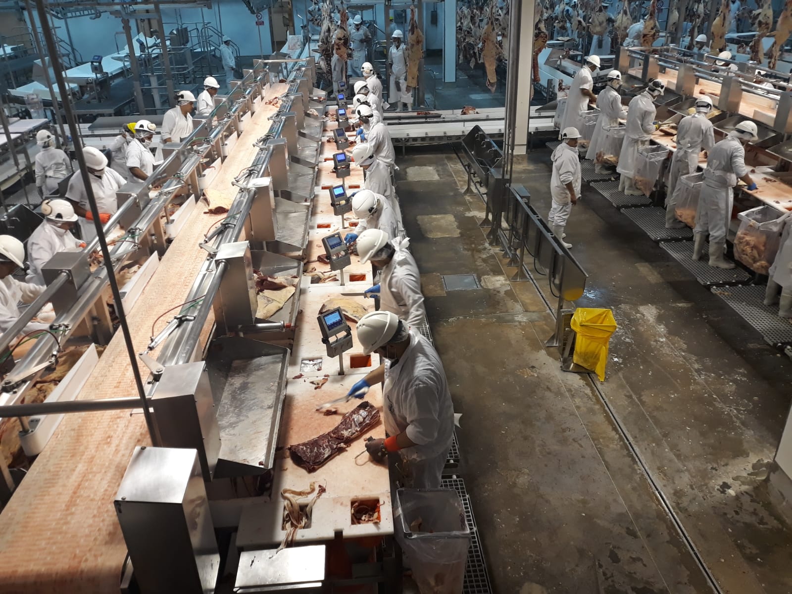 Autoridades visitaron planta del frigorífico BPU Meat en Durazno | MGAP