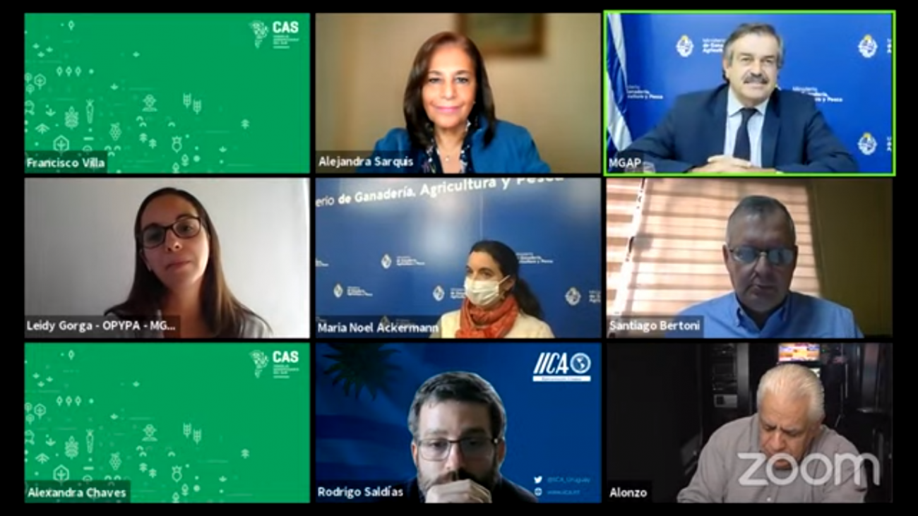 Reunión técnica y celebración de los 30 años de Cosave en Montevideo ...