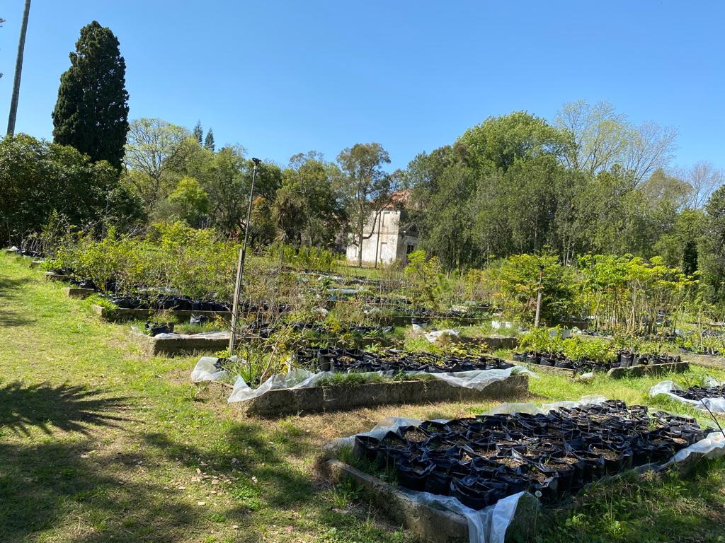 Celebramos el fin de semana del Patrimonio en el Vivero Nacional | MGAP