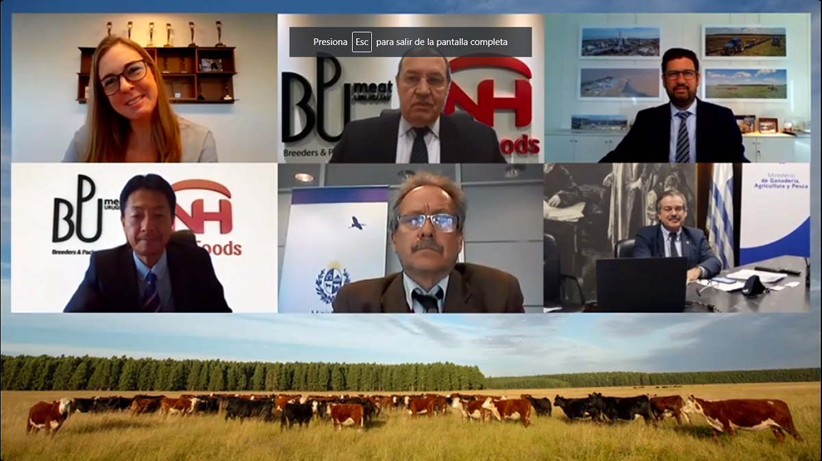 Montes del Plata y BPU Meat firmaron primera certificación de carne ...