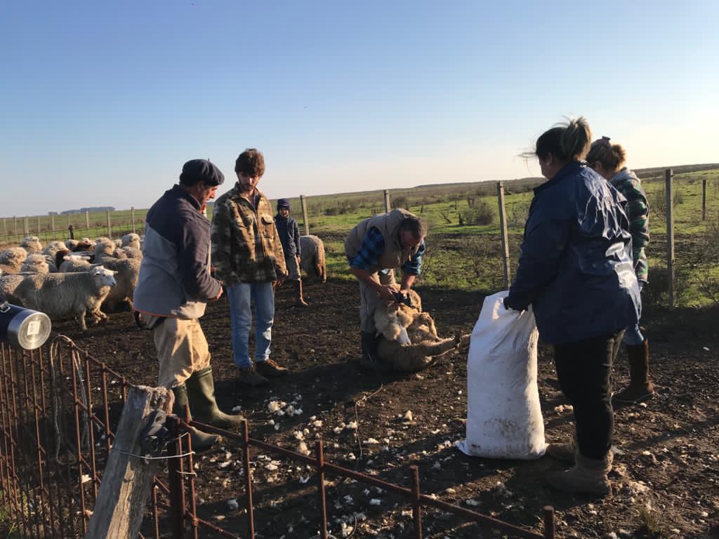 Una historia sencilla y feliz de trabajo rural con la familia ...