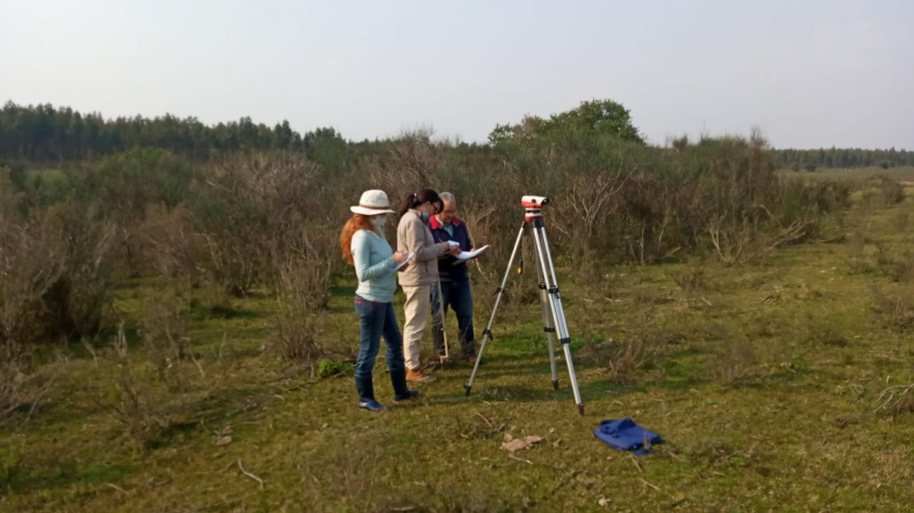 Taller sobre diseño de tajamares para técnicos privados en el marco de ...