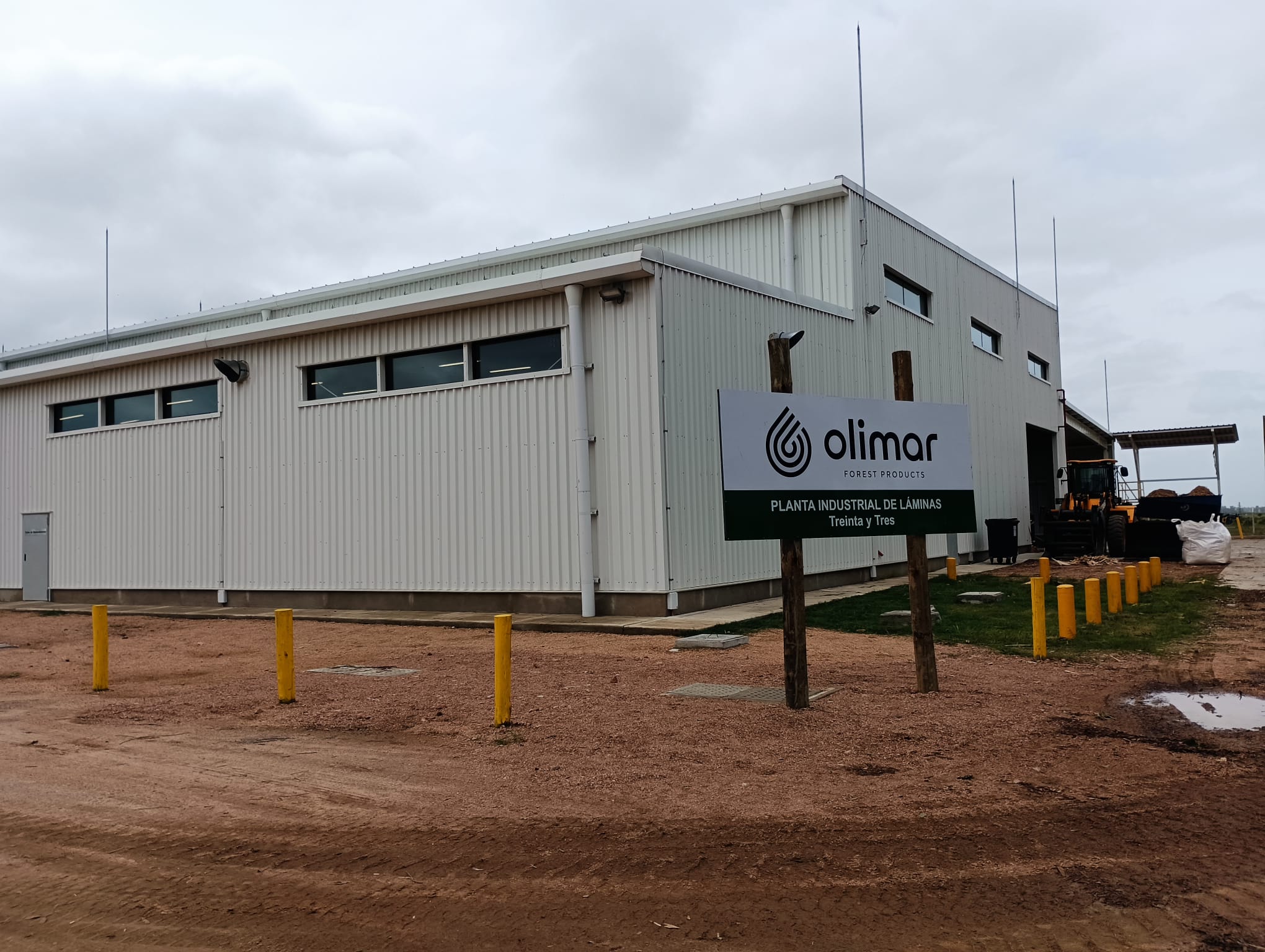 Faroppa destaca progreso sostenible en la industria forestal uruguaya ...