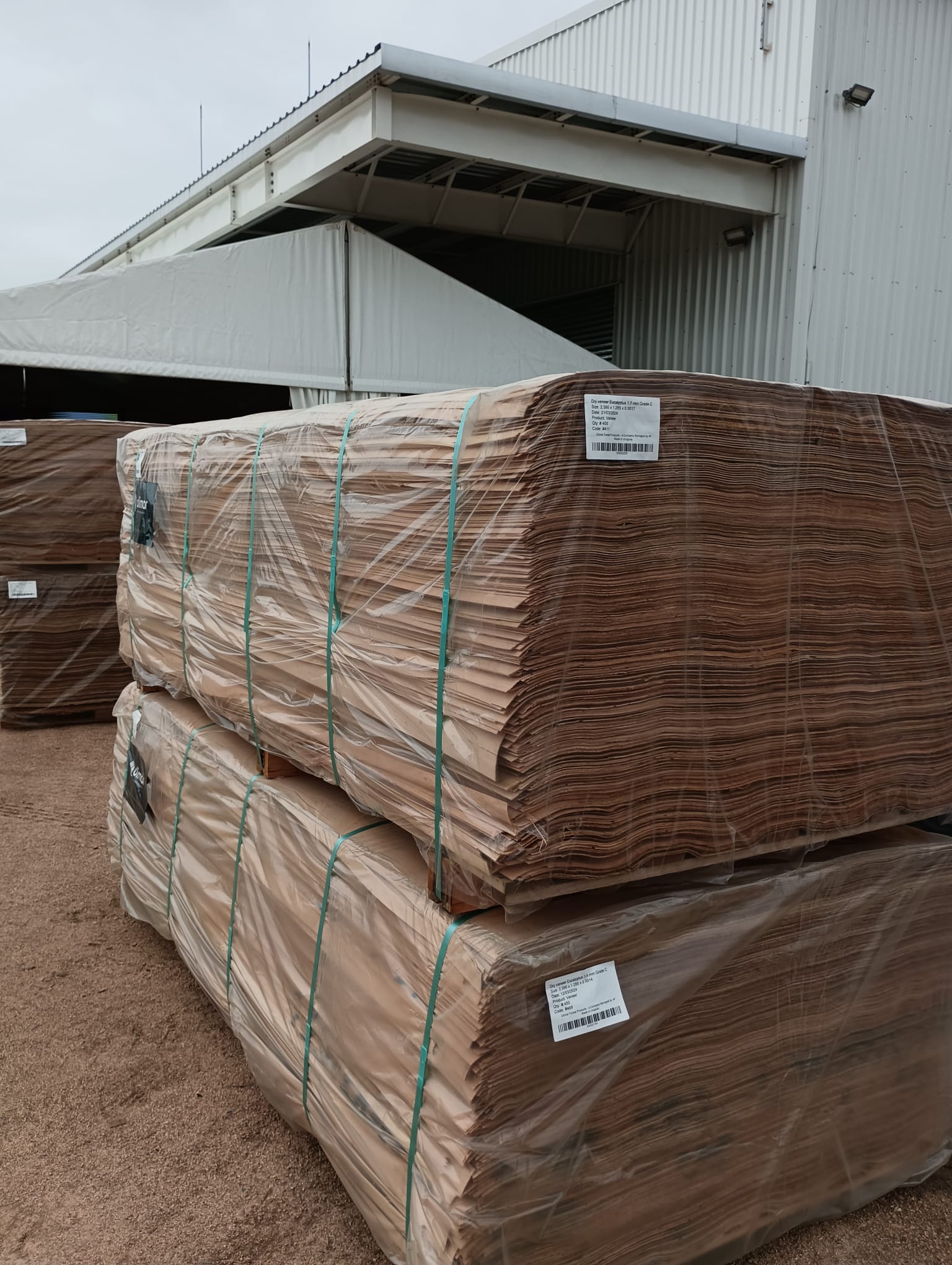 Faroppa destaca progreso sostenible en la industria forestal uruguaya ...