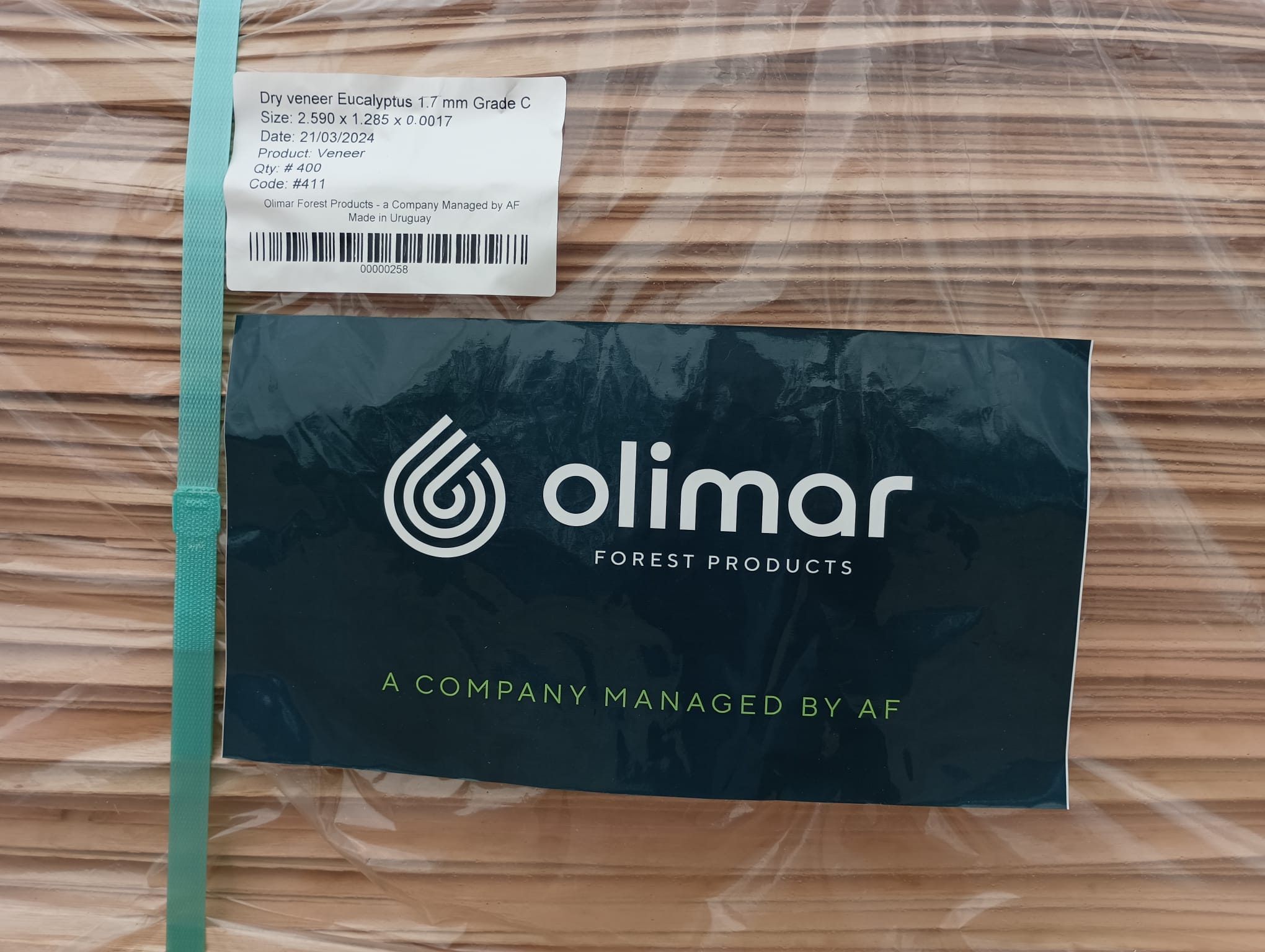 Faroppa destaca progreso sostenible en la industria forestal uruguaya ...