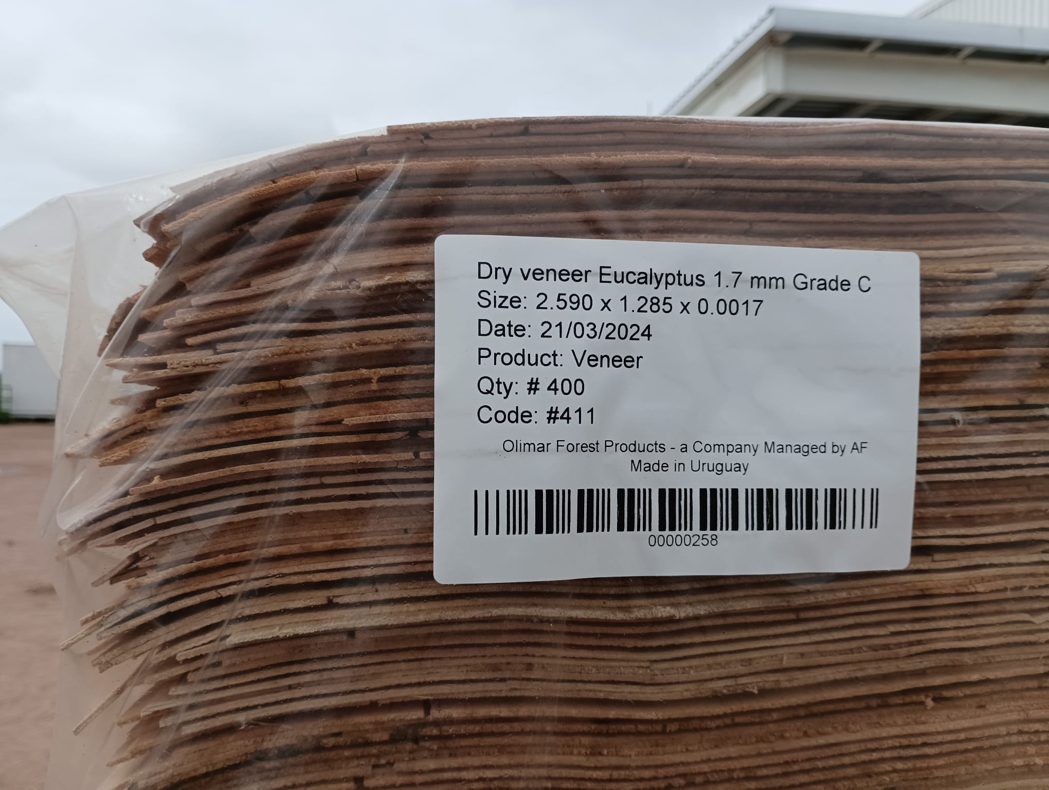 Faroppa destaca progreso sostenible en la industria forestal uruguaya ...