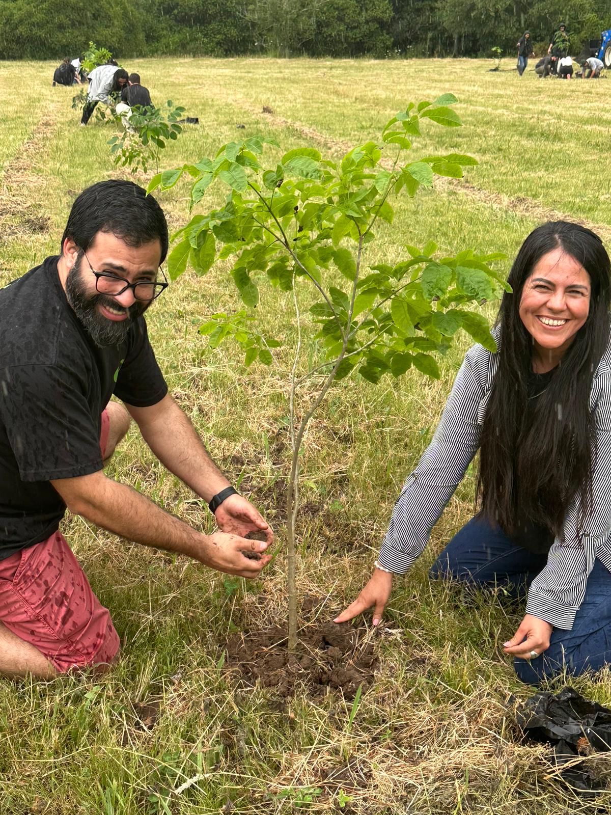Ceibal planta árboles nativos en el Vivero Nacional para fomentar la ...