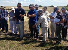 DGSA, INIA, FAGRO, IPA y MTO organizaron jornada de reconocimiento de ...