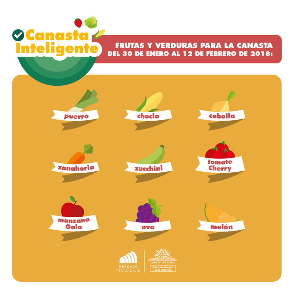 Conocé Cuales Son Los Mejores Cultivos De Estación Para Esta Quincena