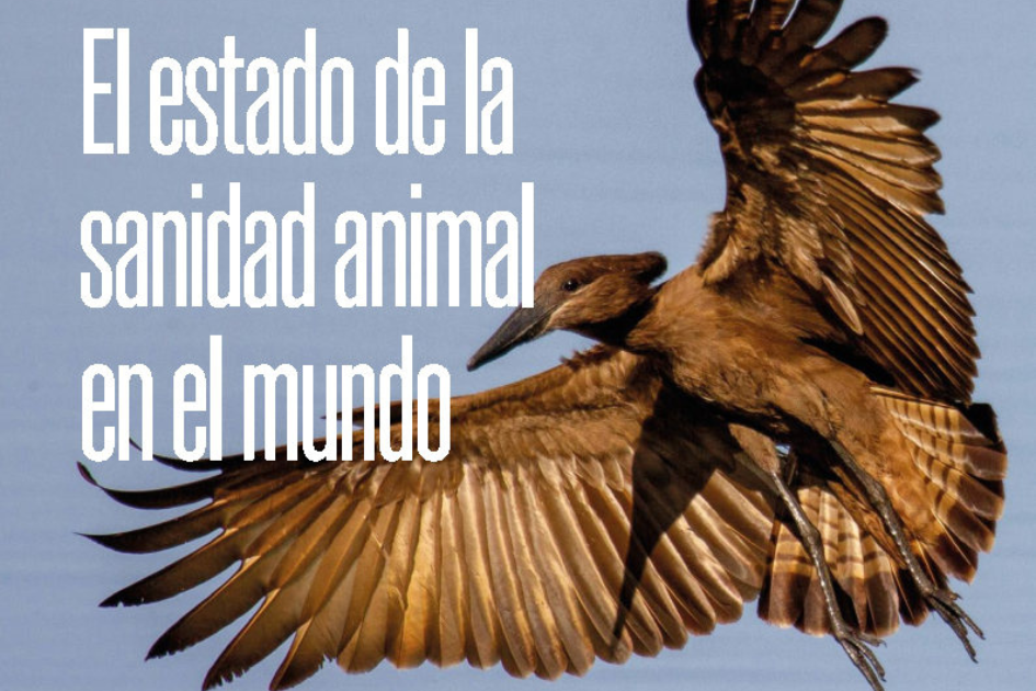 Artikleopard_artist fuck i have seen her advertisements for