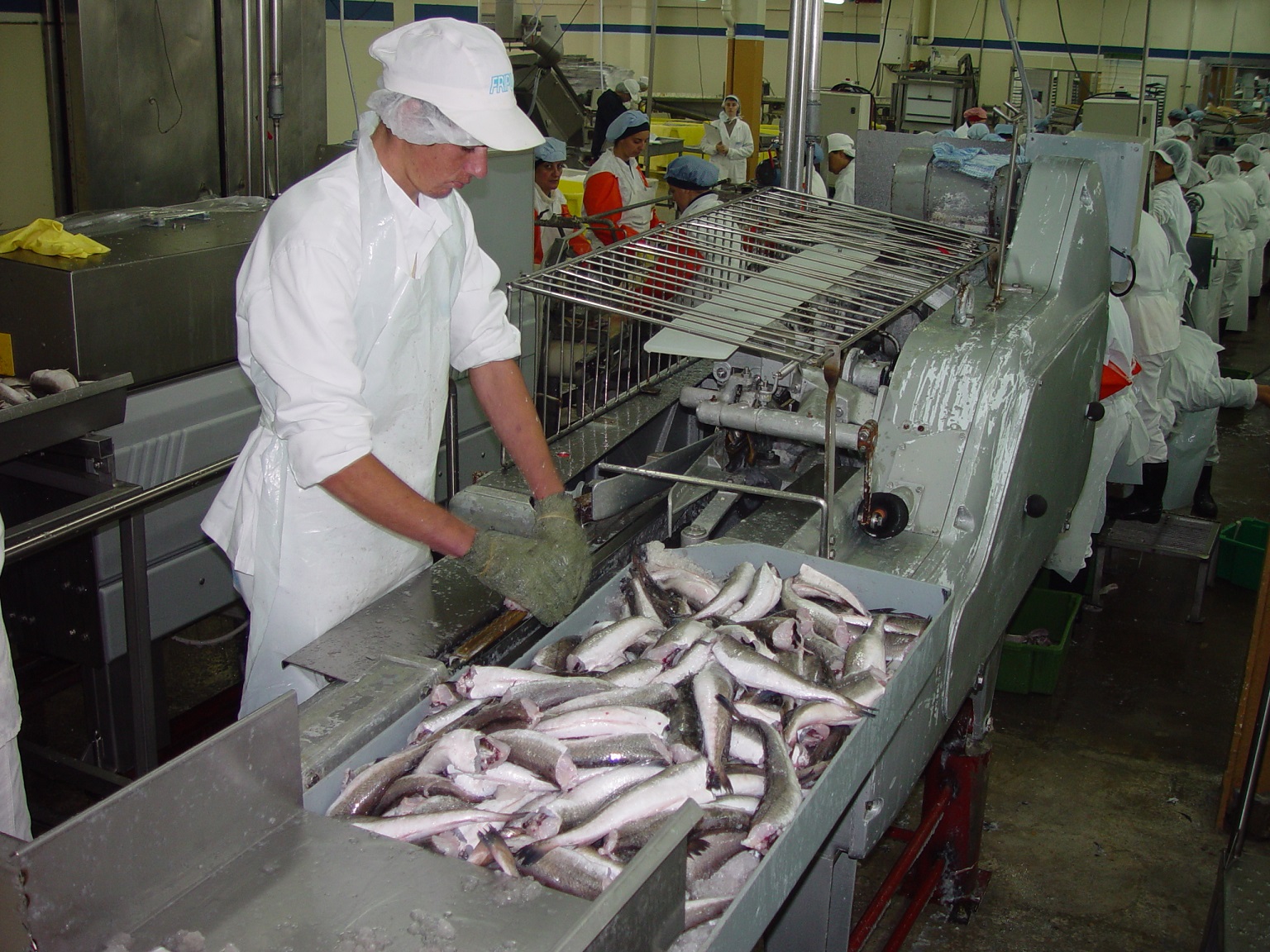 Veda de verano para la merluza en Zona Común de Pesca | MGAP