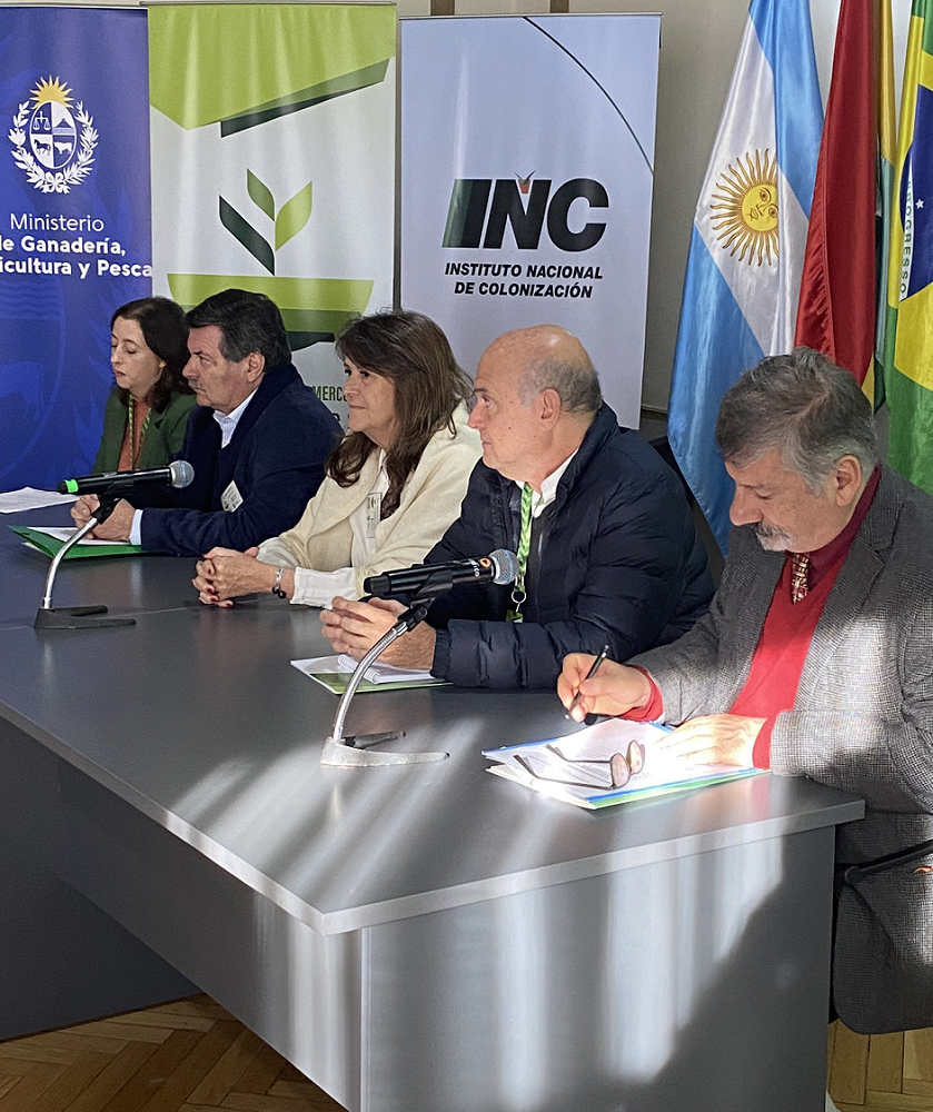 Se desarrolló un nuevo ciclo de intercambio REAF Mercosur | Ministerio ...