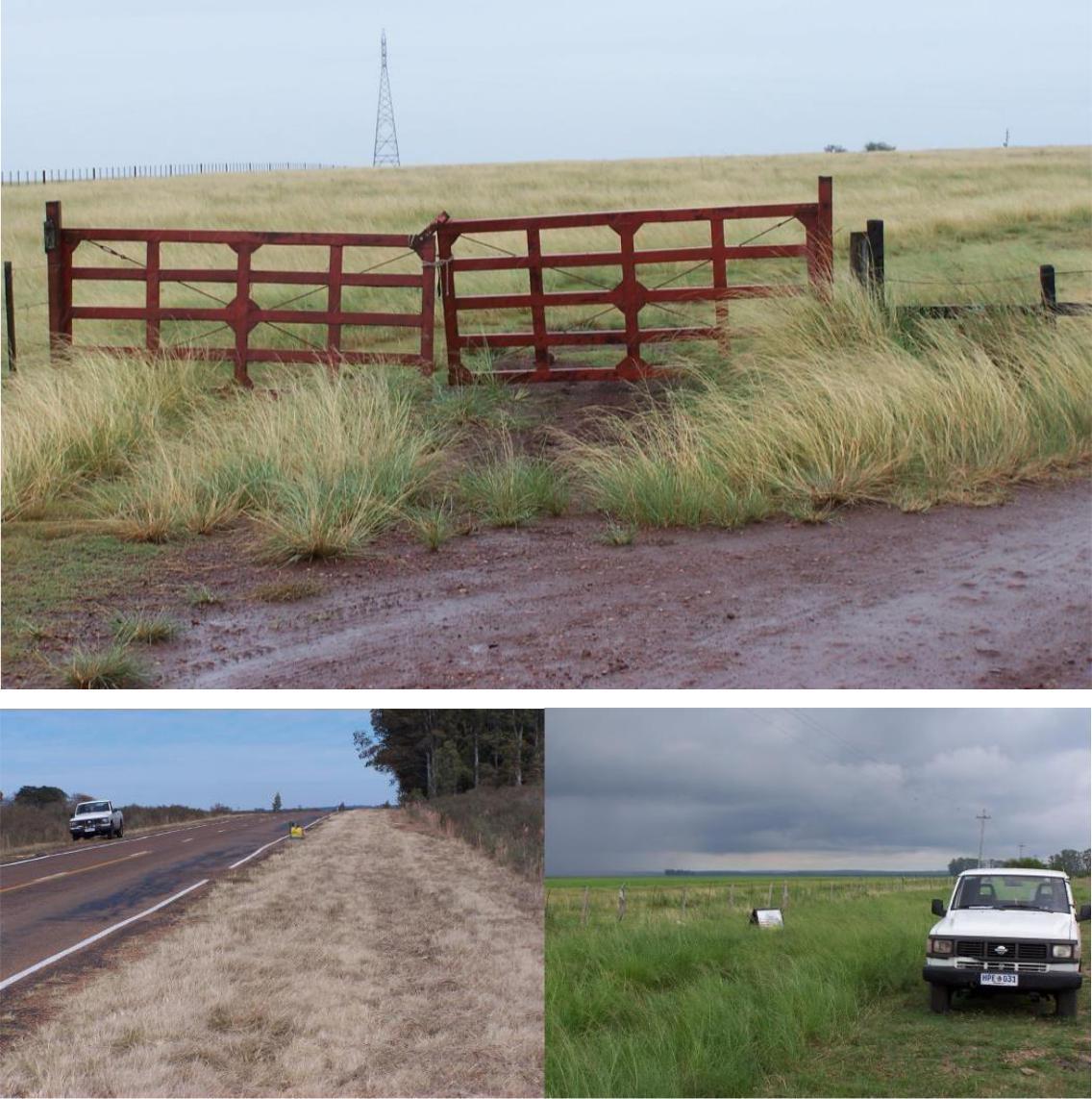 Capin Annoni | Ministerio de Ganadería, Agricultura y Pesca