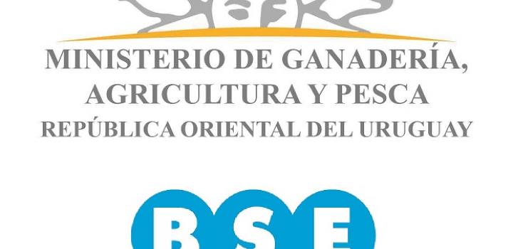 BSE y MGAP organizaron charla Informativa sobre SEGUROS GRANJEROS ...