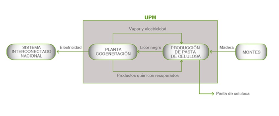 Plantas de operación: UPM | MIEM