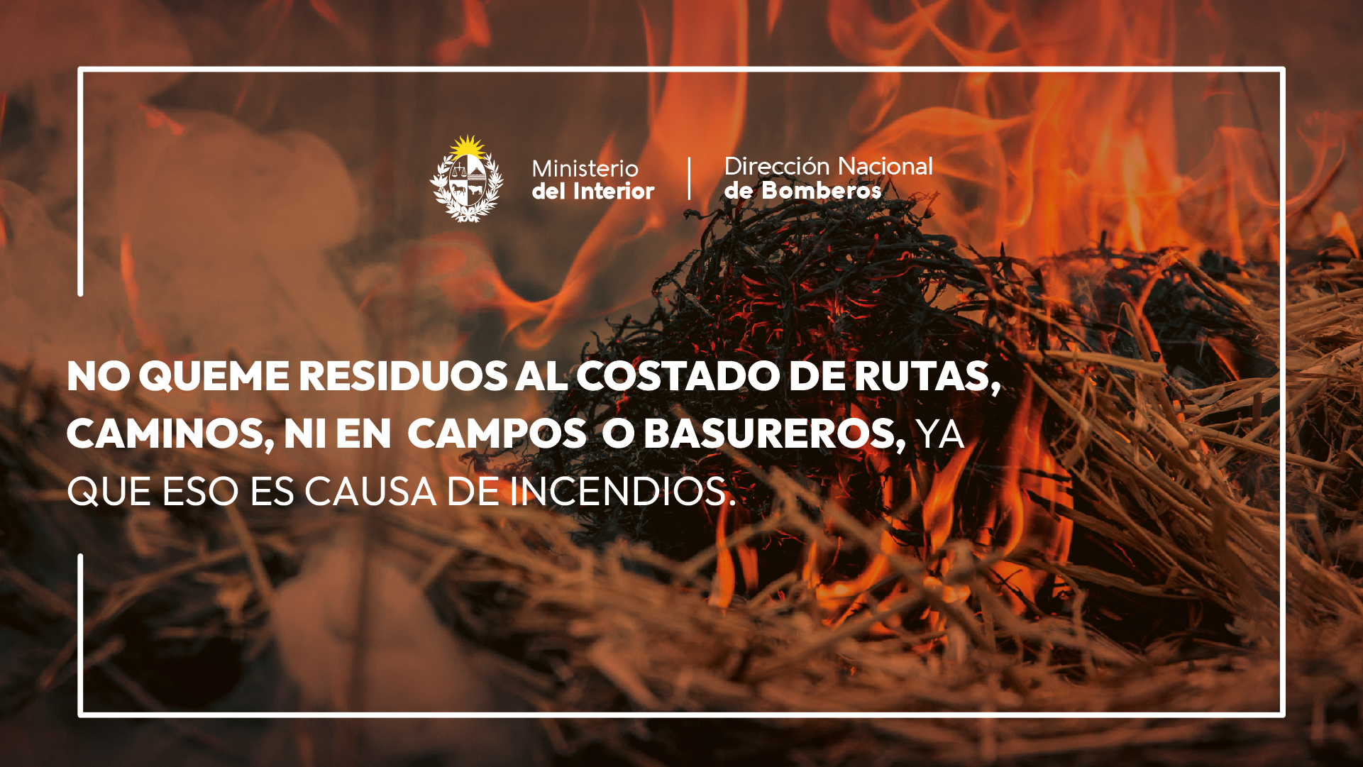 Evitemos los incendios forestales | Ministerio del Interior