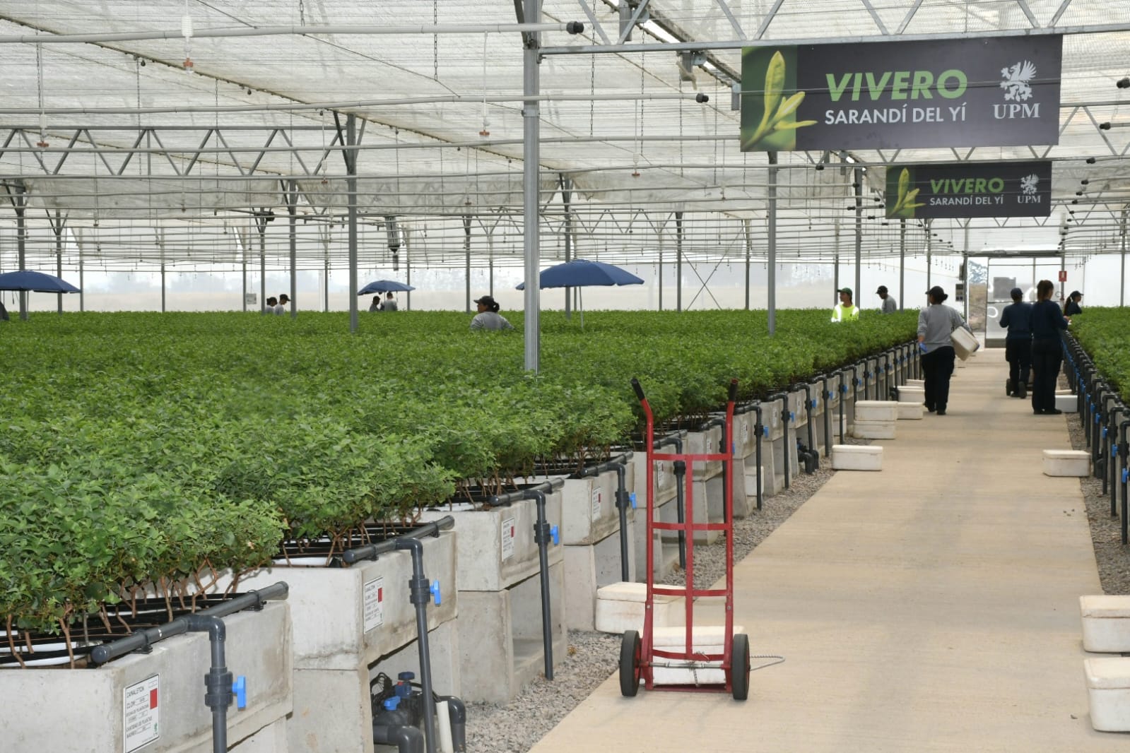 Se inaugura By Pass en la intersección de ruta 6 y 14 hacia Sarandí del ...