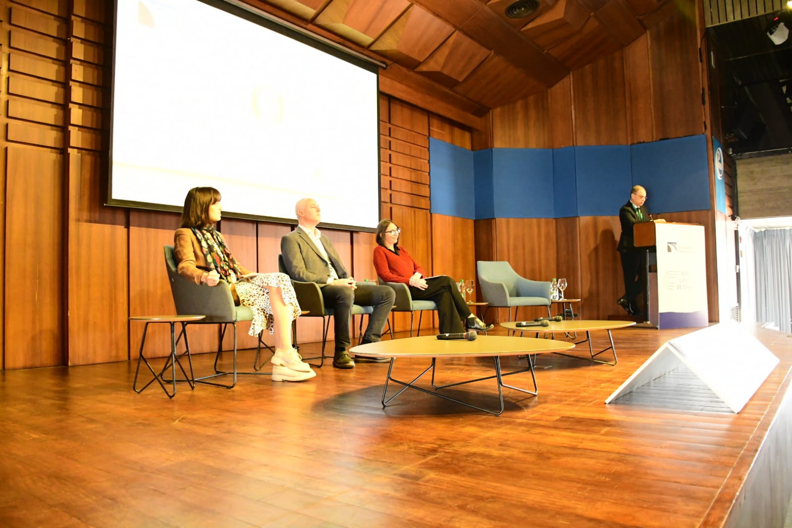 La subsecretaria Peris abrió el Congreso de Vialidad: “La ...