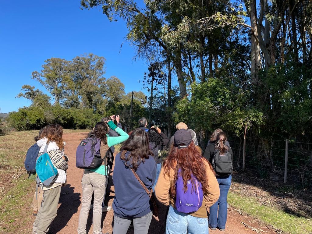 Jornada práctica de observación de aves en Maldonado | Ministerio de ...