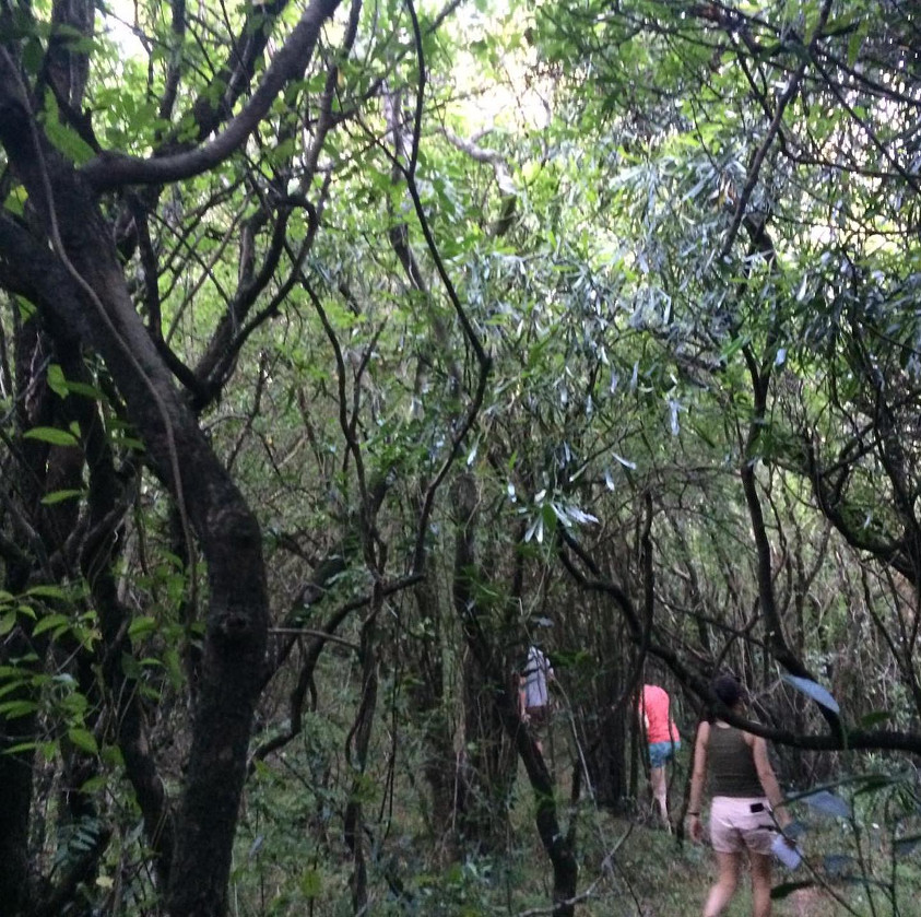 Fray Marcos renueva su camping | Ministerio de Turismo