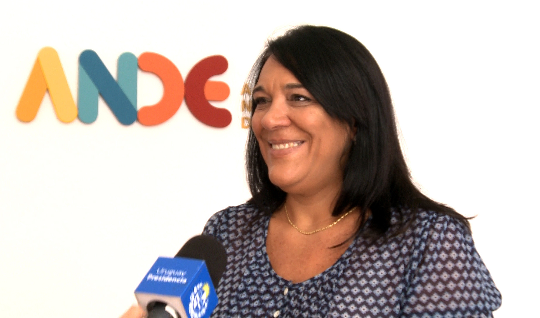 Agencia Nacional de Desarrollo promueve digitalización en empresas nacionales | Presidencia