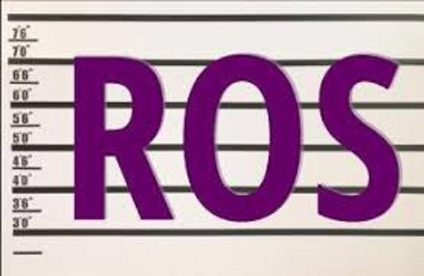 El BCU habilitó la presentación digital de los ROS para los Sujetos ...