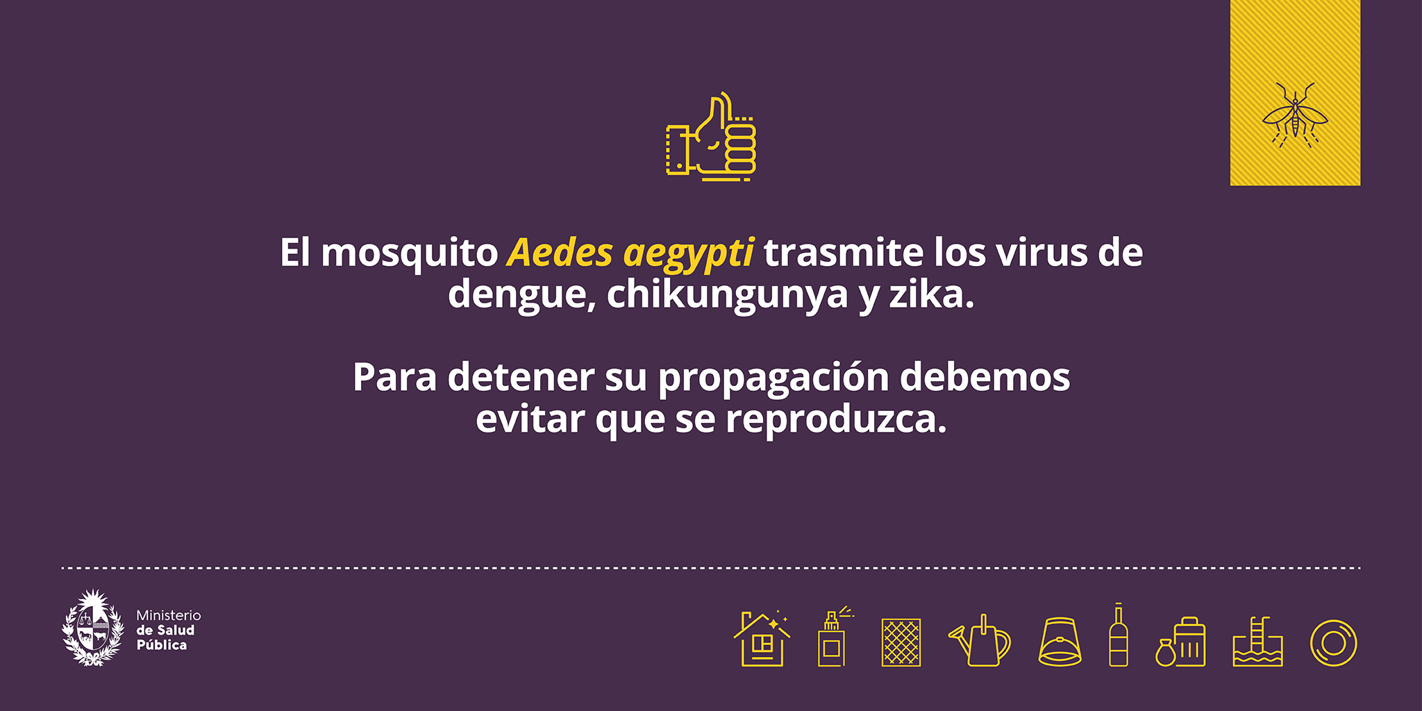 Prevención de enfermedades trasmitidas por Aedes aegypti: dengue, zika y chikungunya en conjunto ...